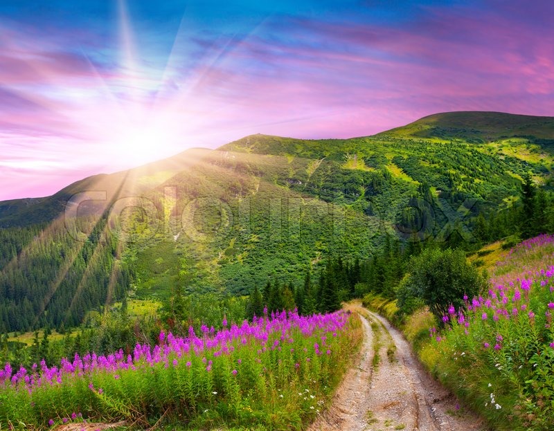 Beautiful summer landscape in the ... | Stock image | Colourbox