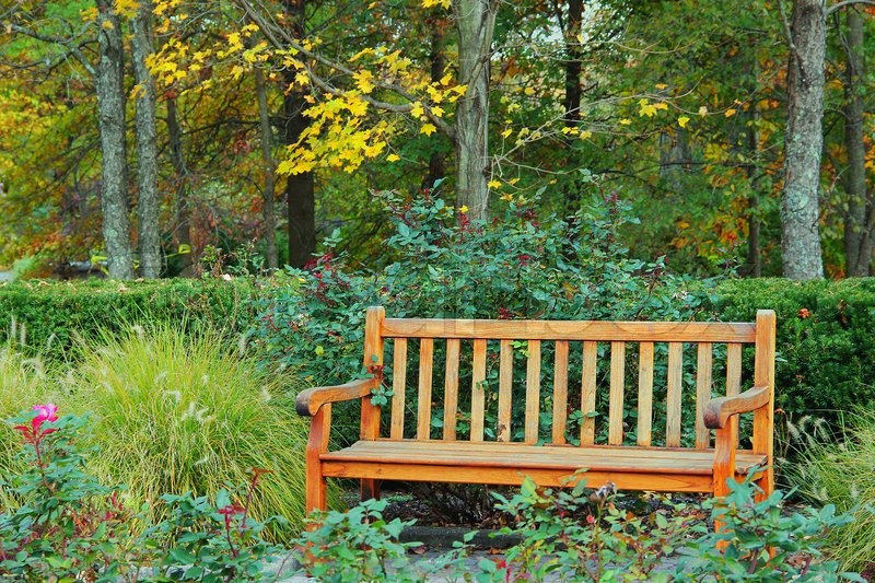 A wooden park bench surrounded by trees ... | Stock image | Colourbox