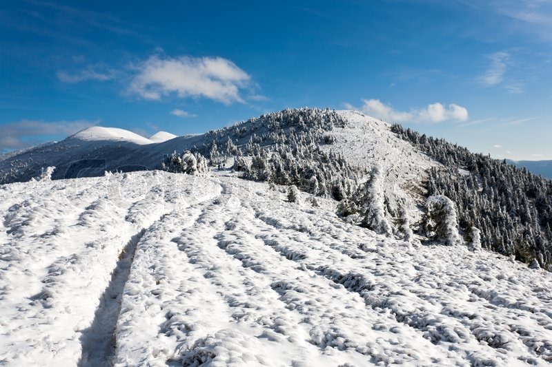 Vinter landskab | Stock foto | Colourbox