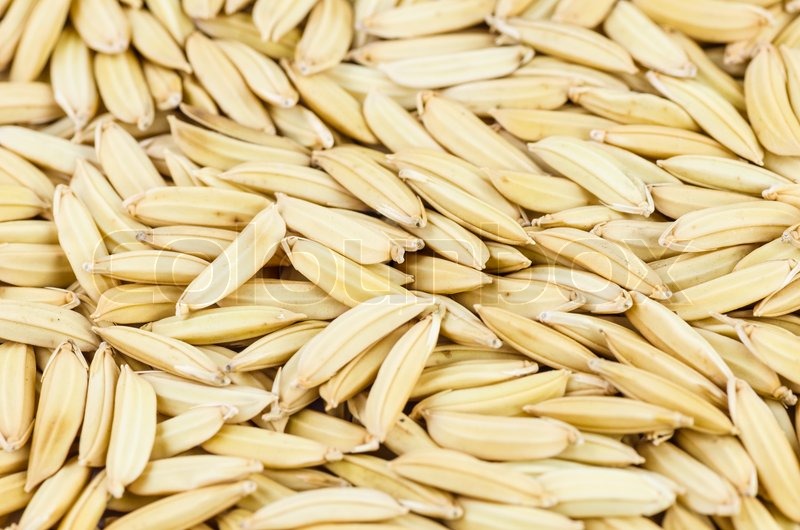 Paddy rice macro in Thailand ... | Stock image | Colourbox