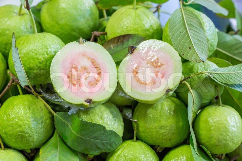 Thai native guava sale in market | Stock image | Colourbox