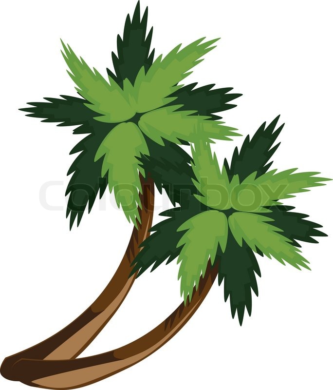 Zwei Comic- Palmen | Vektorgrafik | Colourbox