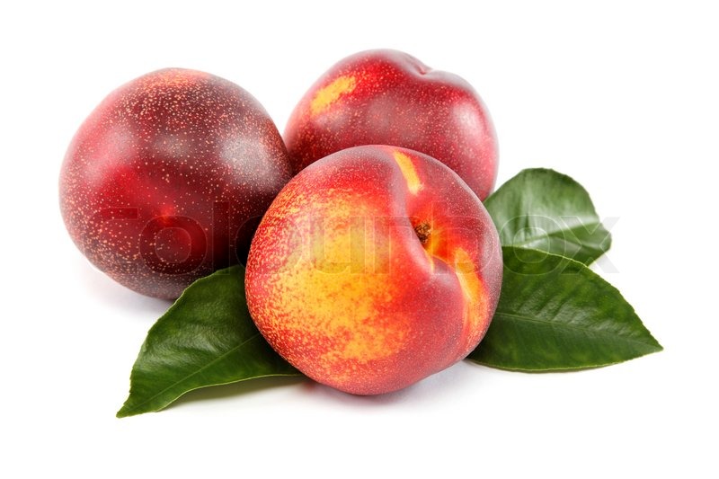 Friske nektariner isoleret på en hvid ... | Stock foto | Colourbox