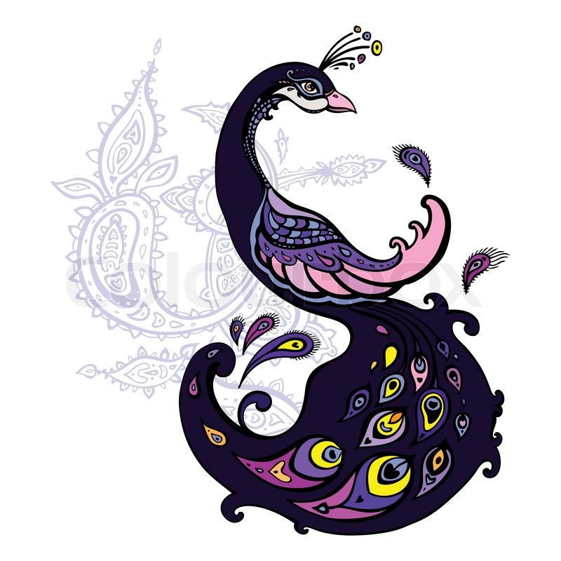 Peacock Decorative Vector Illustration Stock Vector Colourbox