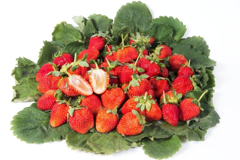 Erdbeere | Stock Bild | Colourbox