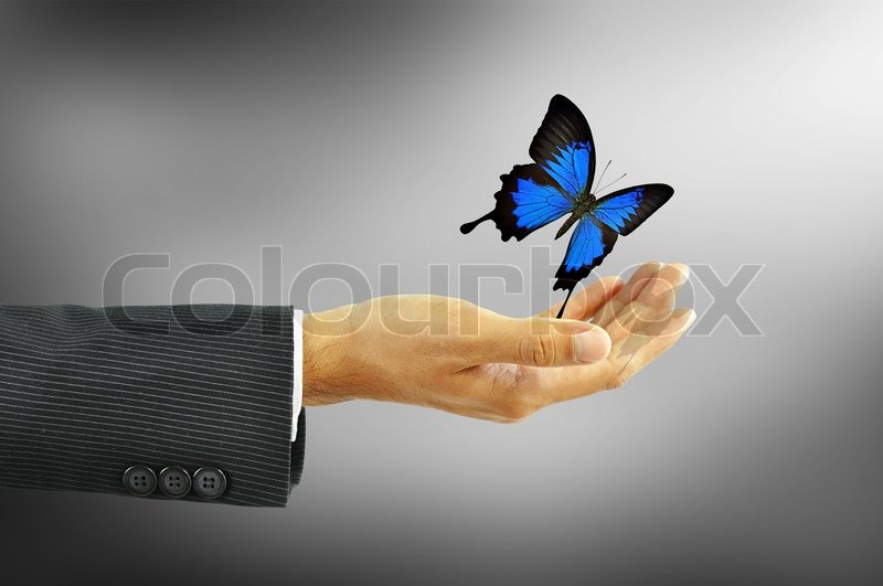 Hand releasing a blue butterfly | Stock image | Colourbox
