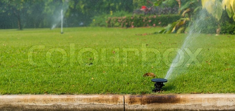Sprinkle water | Stock image | Colourbox