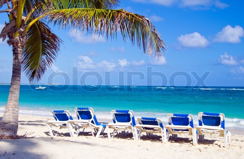 Tropischen Strand | Stock Bild | Colourbox