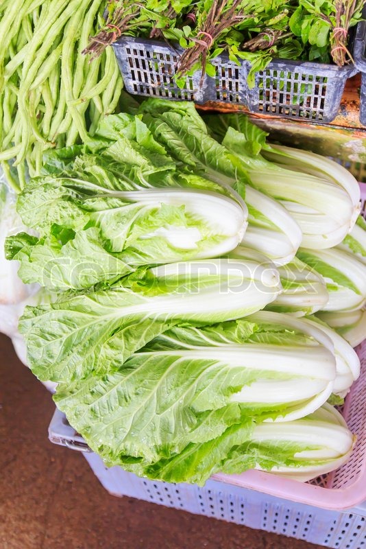 Chinakohl | Stock Bild | Colourbox