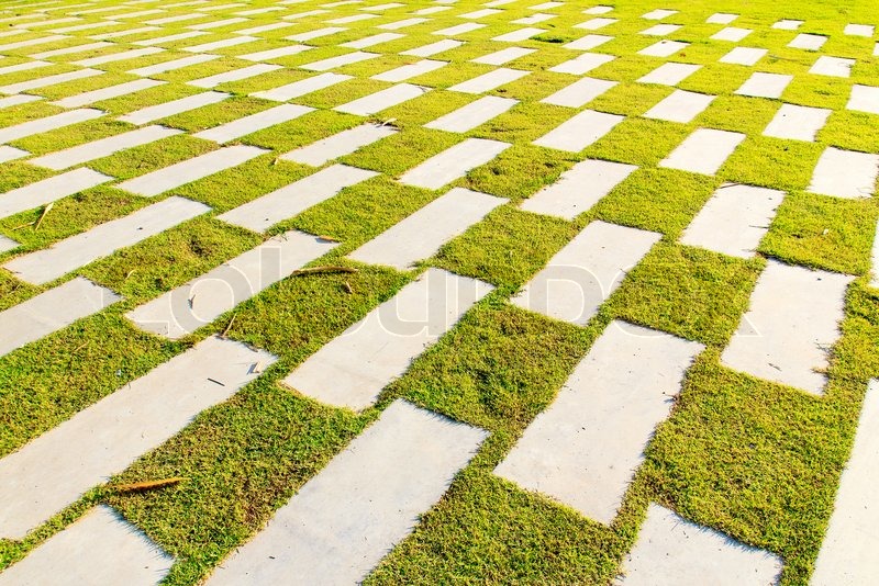 Grass between bricks arranged in a ... | Stock image | Colourbox
