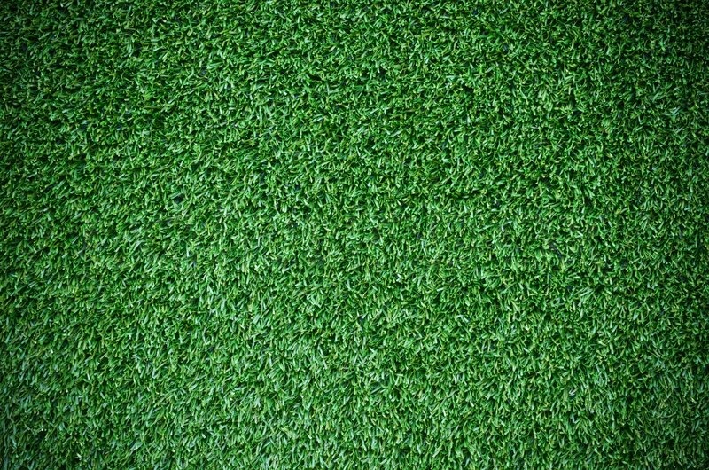 Dark Green Grass Texture