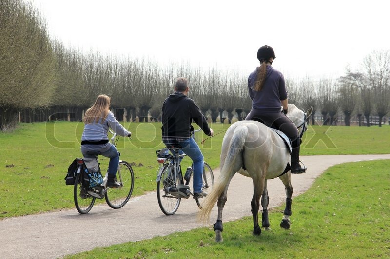 Two bikers and a horse. | Stock image | Colourbox
