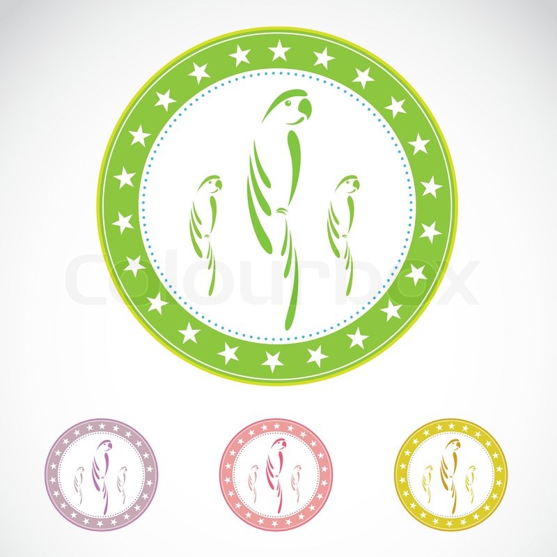 Set of vector parrot label on white ... | Stock vector | Colourbox