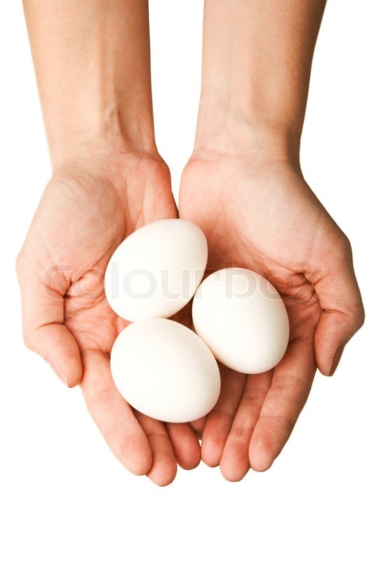 Eggs in hands | Stock Photo | Colourbox