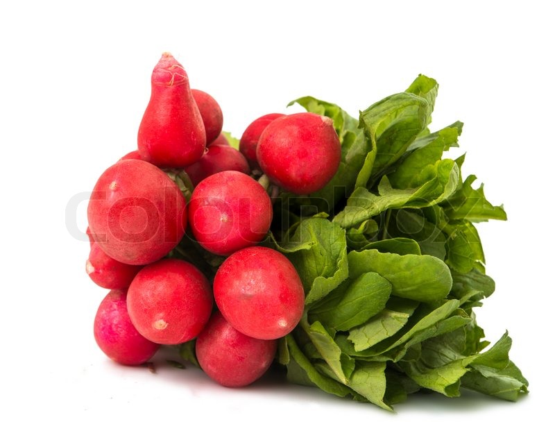 Radise bundt isoleret | Stock foto | Colourbox