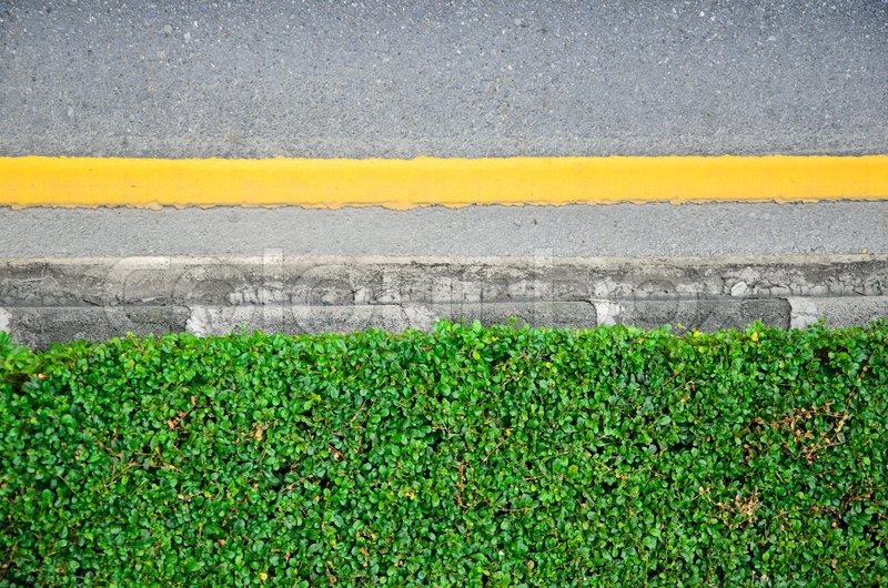 Asphalt-Straße mit grünen Pflanze ... | Stock Bild | Colourbox