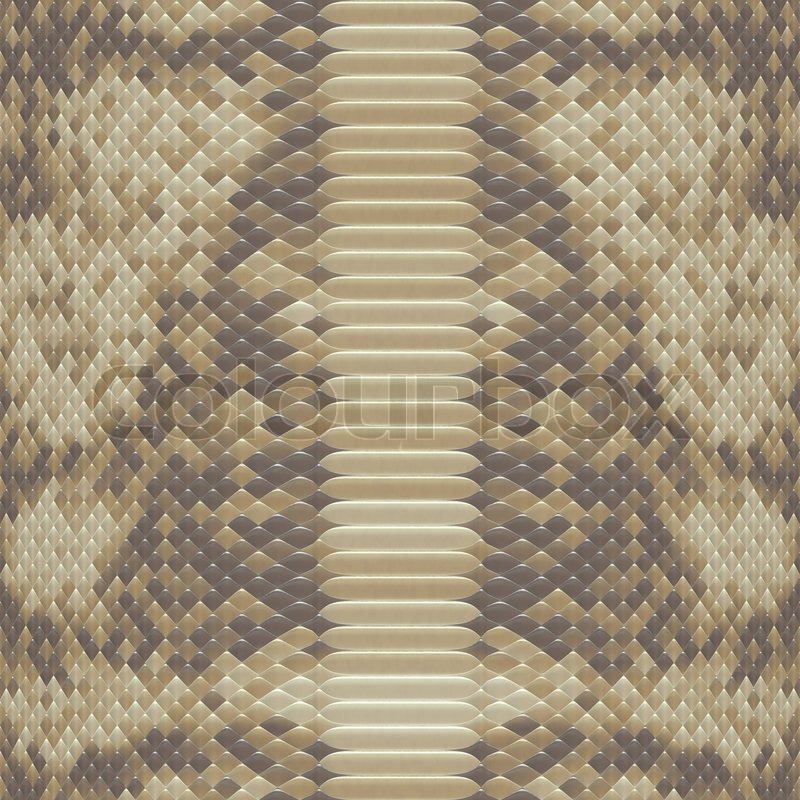 Rattlesnake Skin Pattern