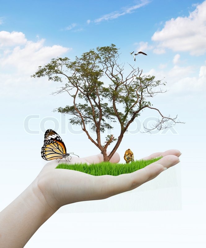 Woman hand holding nature landscape | Stock image | Colourbox