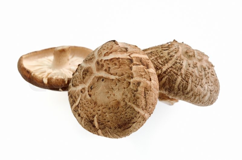 Shiitake mushrooms isolated on white | Stock image | Colourbox