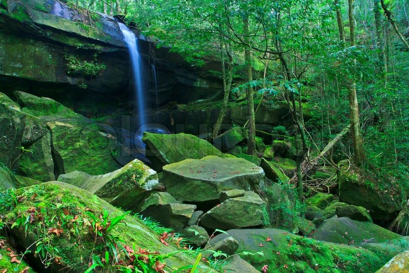 Vandfald i skoven | Stock foto | Colourbox