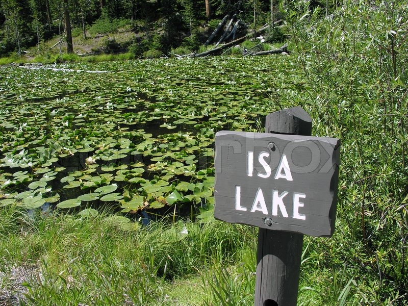 Isa Lake in Yellowstone National Park | Stock Photo | Colourbox