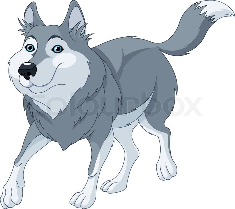 Illustration o cute cartoon wolf ... | Stock vector | Colourbox