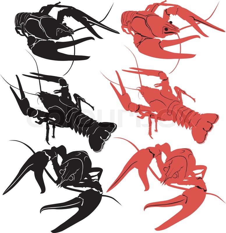 Crayfish animals vector isolated on ... | Stock vector | Colourbox