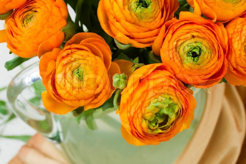 Ranunculus orange flowers bouquet close ... | Stock image | Colourbox