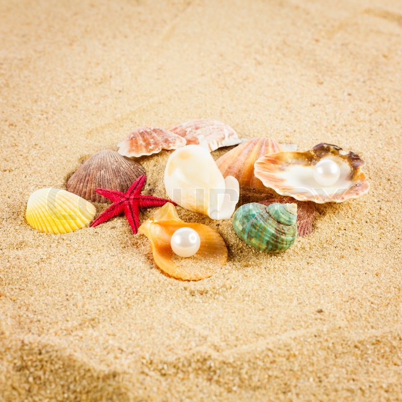 Pearl on the seashell . The exotic sea ... | Stock image | Colourbox