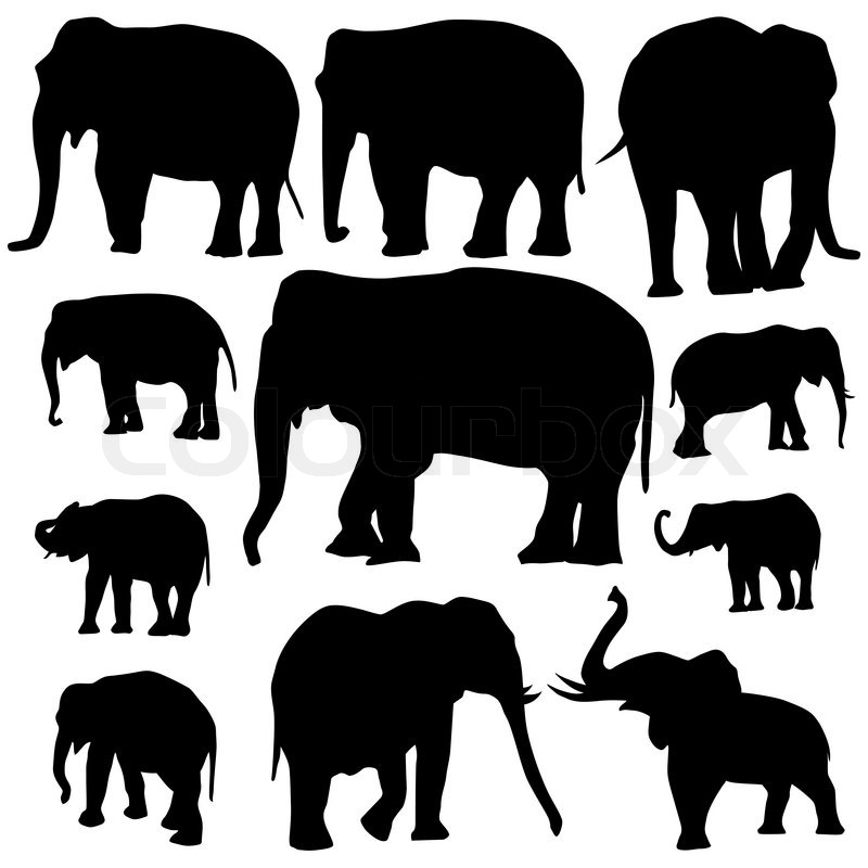 Elephant Silhouette Vector