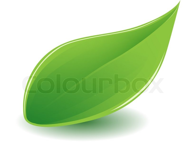 Grønt blad | Stock vektor | Colourbox