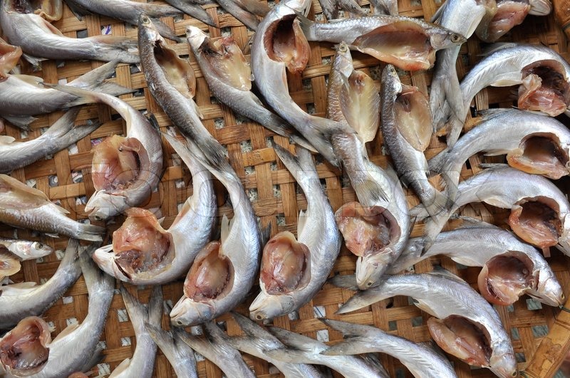 Multe fisk | Stock foto | Colourbox