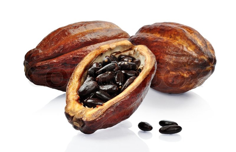 Fresh cacao fruit isolated on a white ... | Stock image | Colourbox