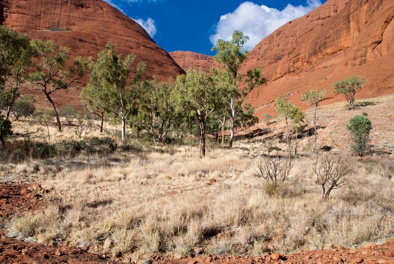 Colors of Australian Outback during ... | Stock image | Colourbox