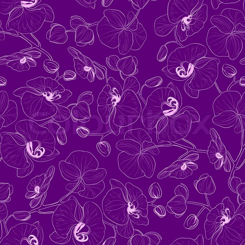 Orchid seamless pattern | Stock image | Colourbox