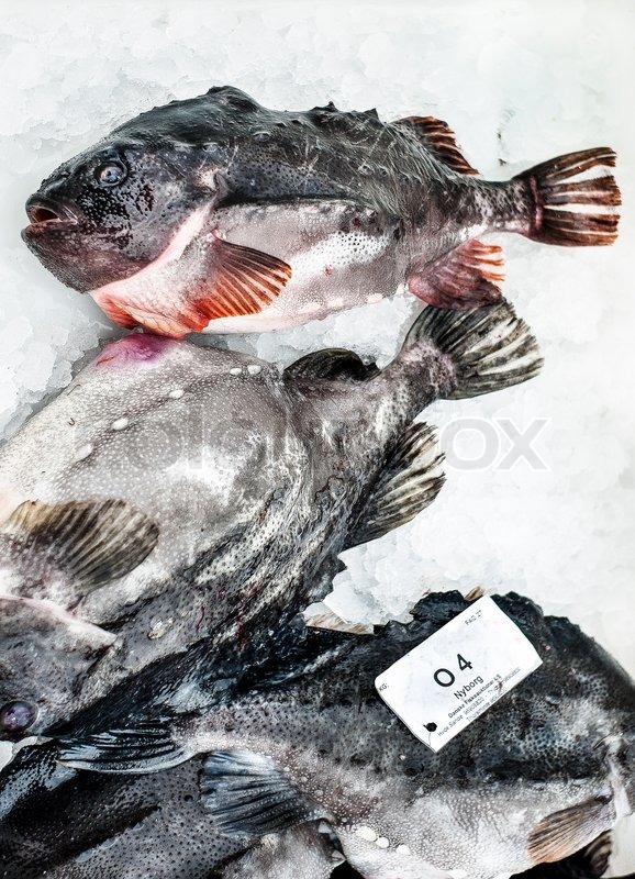 Stenbider | Stock foto | Colourbox