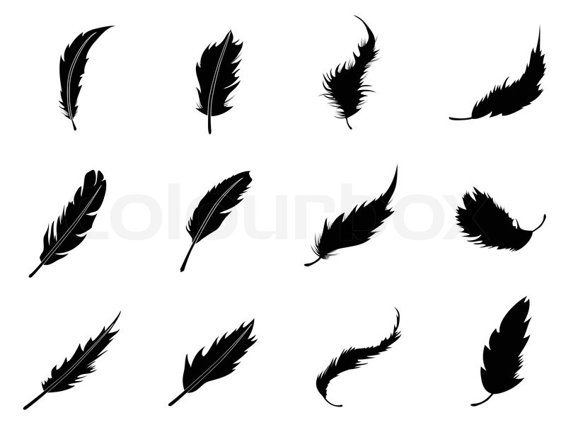 Feder -Icons | Stock-Vektor | Colourbox