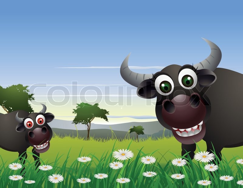 Vector illustration of buffalo cartoon ... | Stock vector | Colourbox
