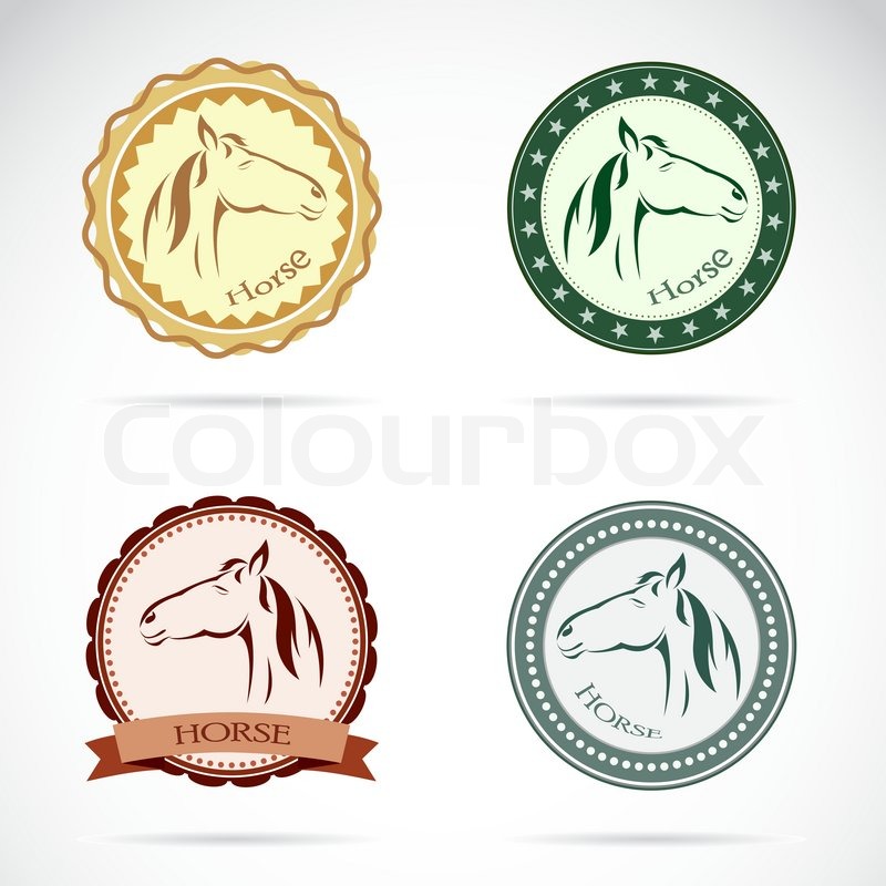 Set of vector horse label on white ... | Stock vector | Colourbox