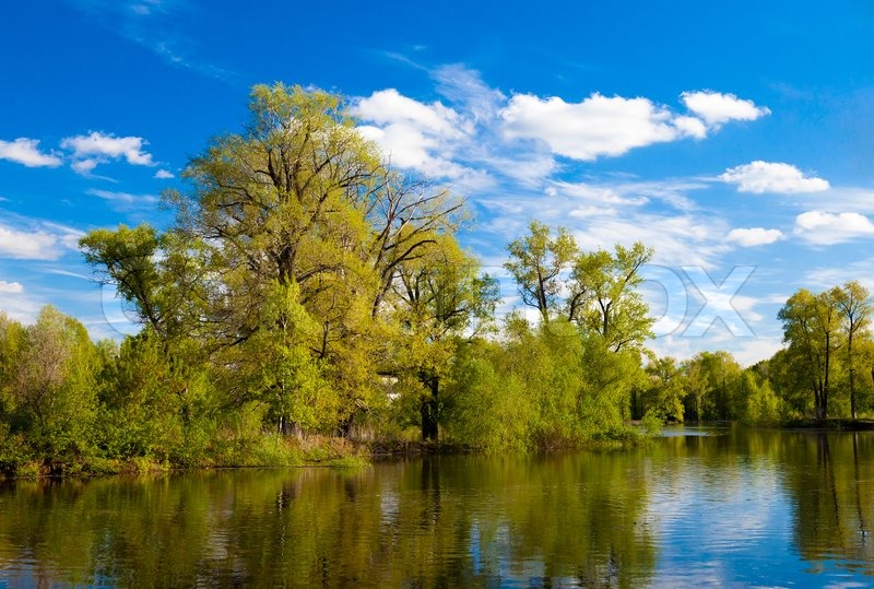 Schöne Sommerlandschaft mit Fluss und ... | Stock Bild | Colourbox