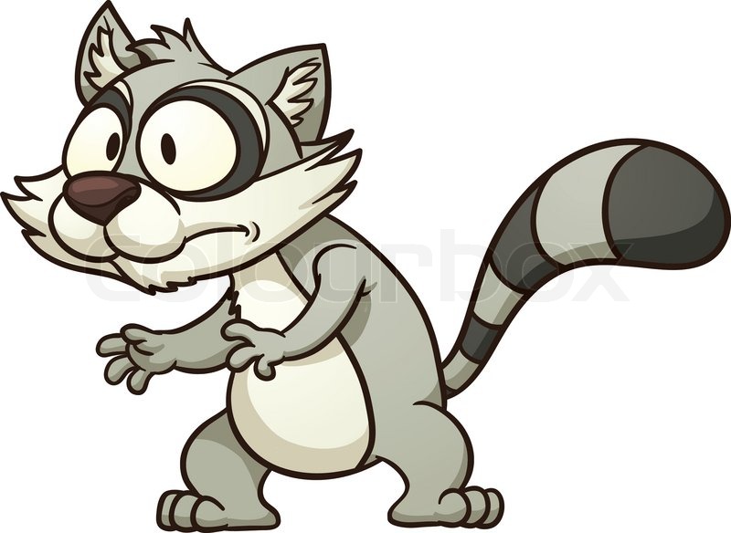Scared Raccoon