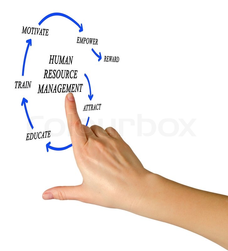 Human Resource Management | Stock Bild | Colourbox