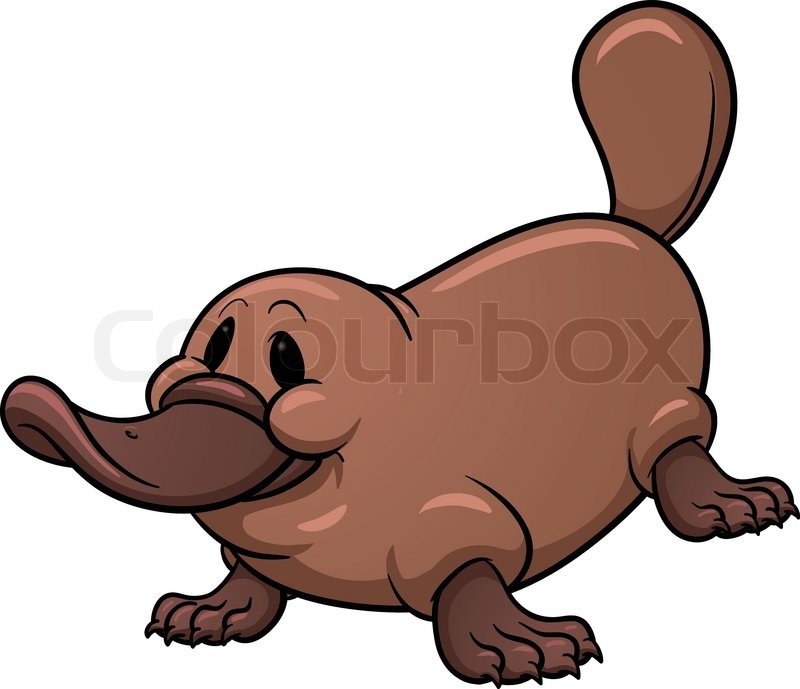 Ornitorrincoeps | Stock-Vektor | Colourbox