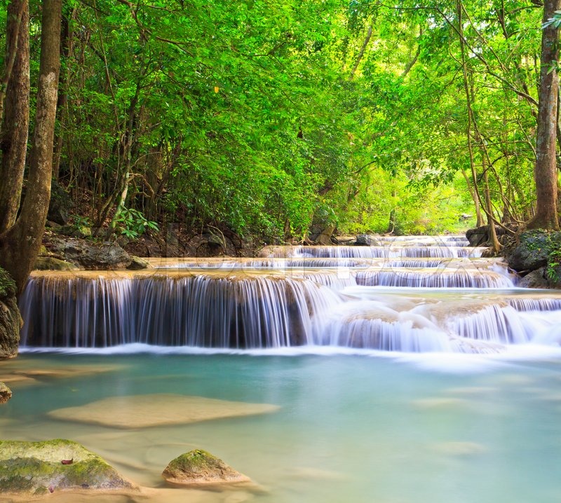 Blue Forest Waterfall