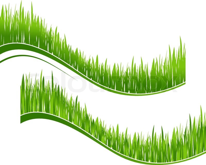 Two waves of green grass for ... | Stock vector | Colourbox