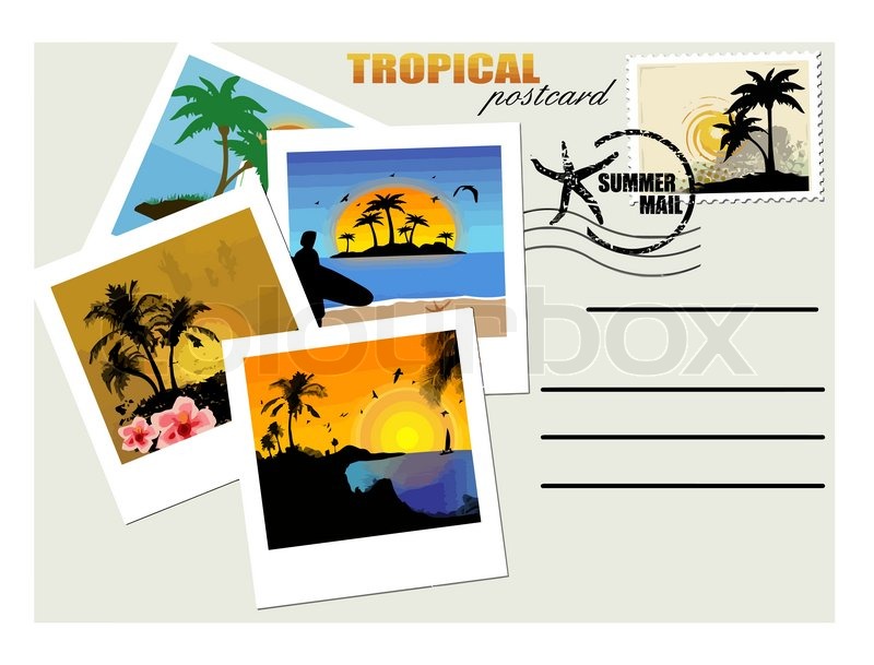 Tropical postkort | Stock vektor | Colourbox