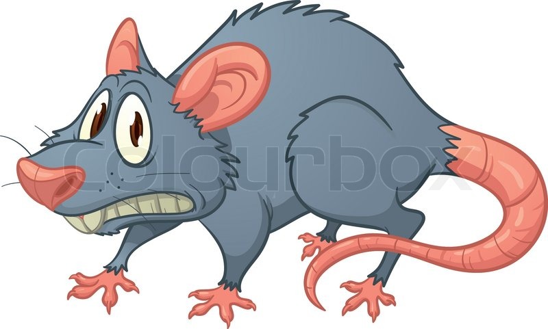 Cute scared rat. Vector illustration ... | Stock vector | Colourbox