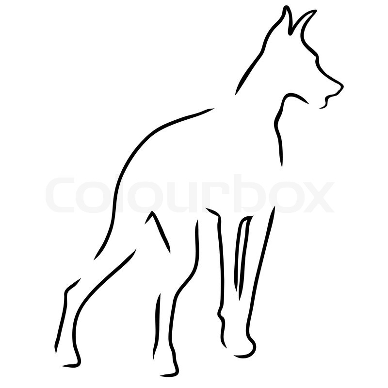 A stylized outline of a Doberman ... | Stock vector | Colourbox