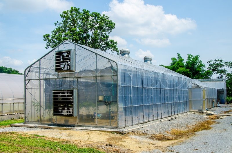 Modern green house | Stock image | Colourbox