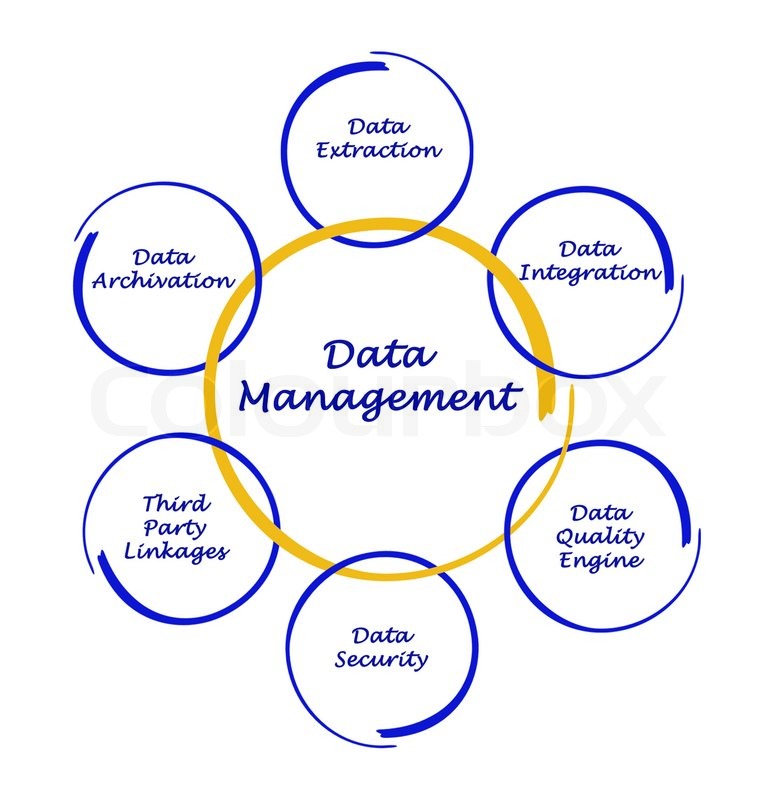 Data Management | Stock Bild | Colourbox